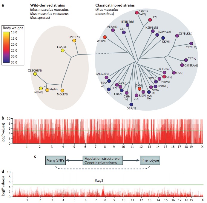 Review Article Mixed Models And Population Structure Zarlab
